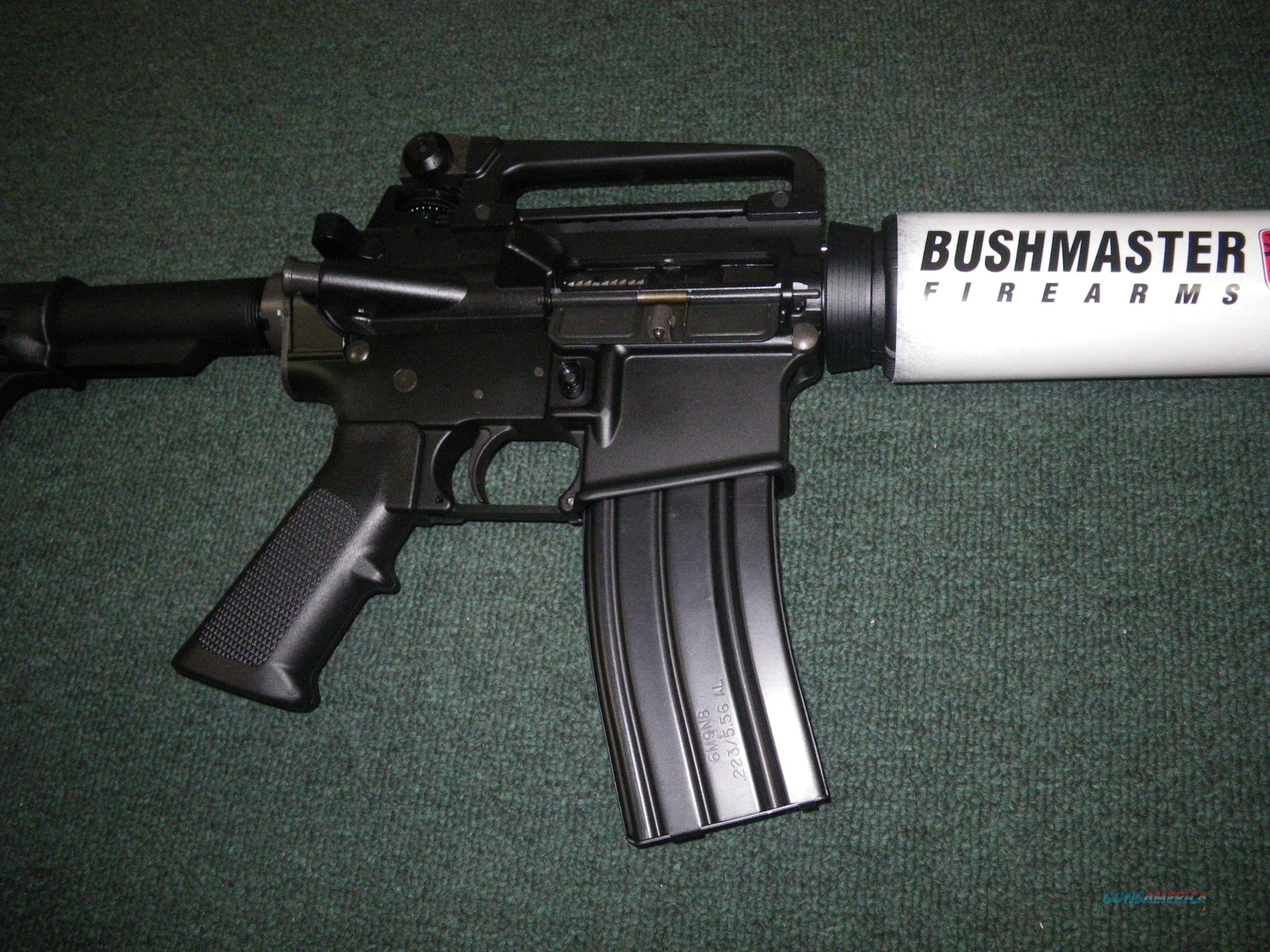 Bushmaster M4 Patrolman's Carbine 5... for sale at Gunsamerica.com ...