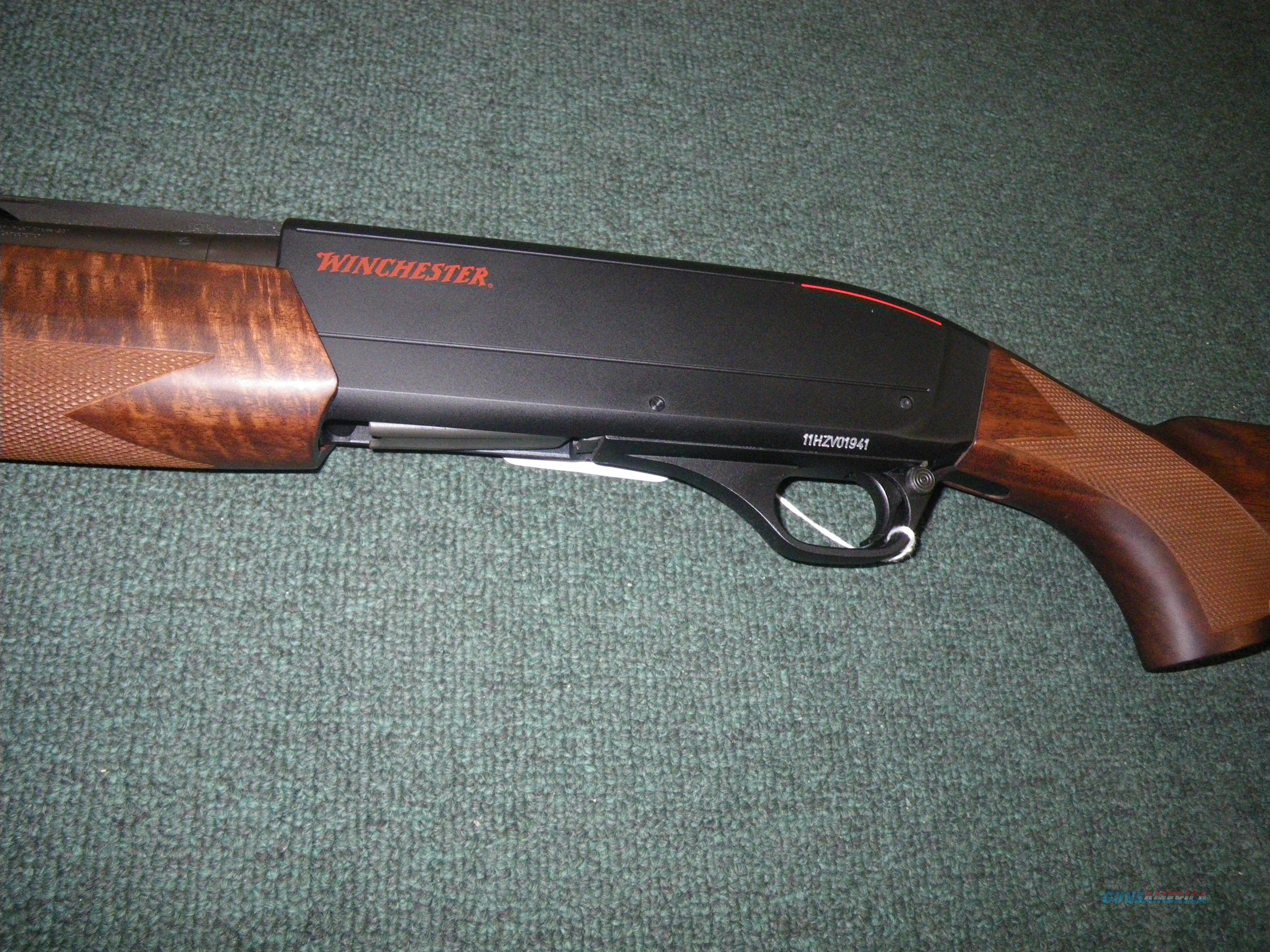 Winchester SX3 Field 20ga 28" 3" Ch... for sale at Gunsamerica.com ...
