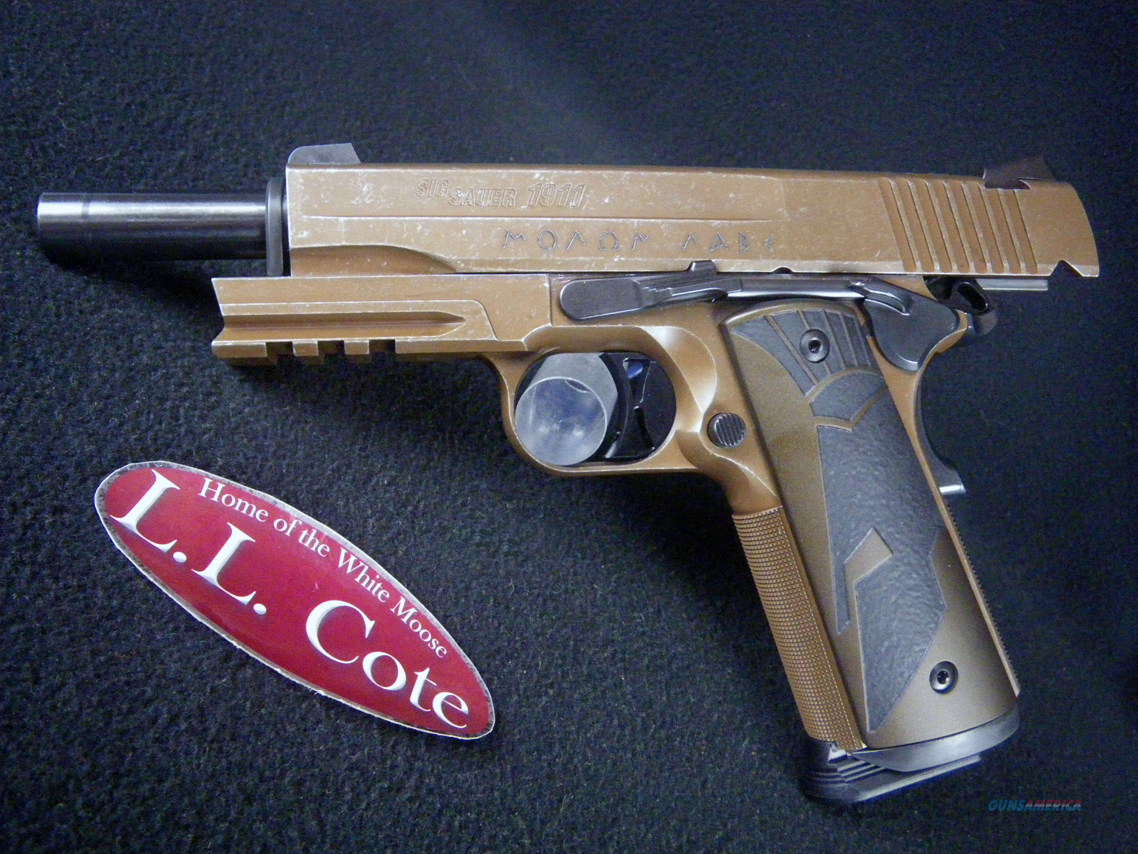Sig Sauer 1911 Spartan II Coyote 45... for sale at Gunsamerica.com ...