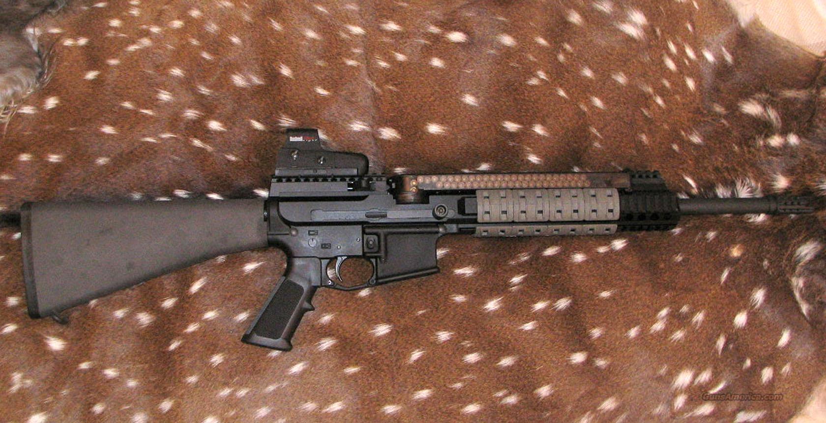AR57 Rifle complete with Bushnell H... for sale at Gunsamerica.com ...