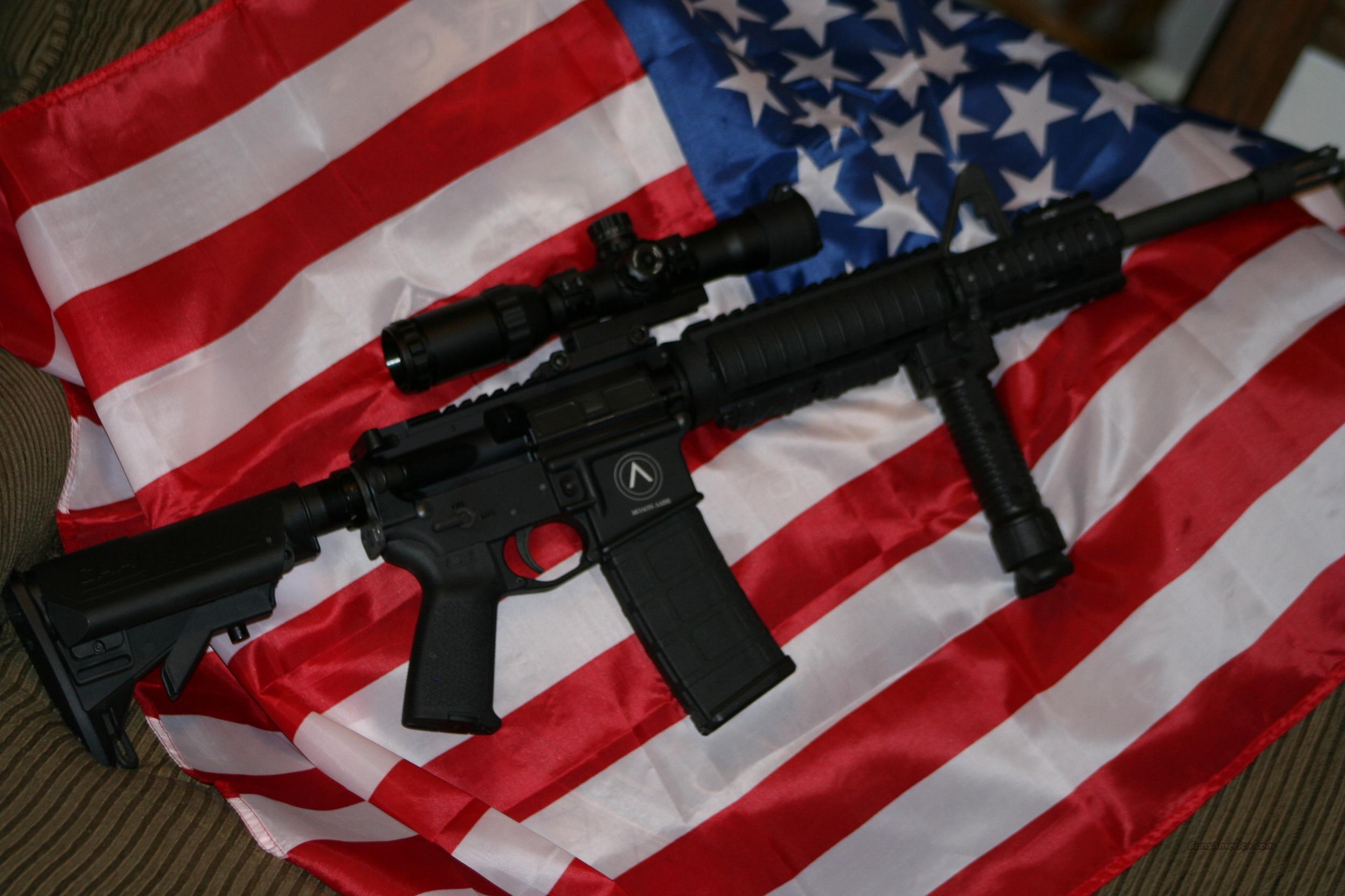 DSA Spartan AR 15 M4 for sale at Gunsamerica.com: 980052846