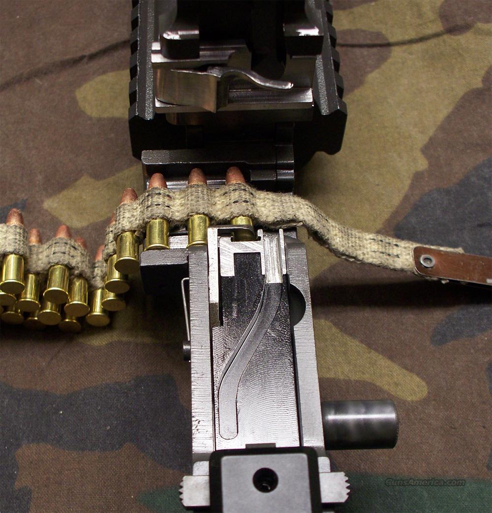 Lakeside Razorback Belts