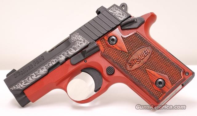 Sig Sauer P238 Lady .380 ACP 1911 for sale at Gunsamerica.com: 984987166