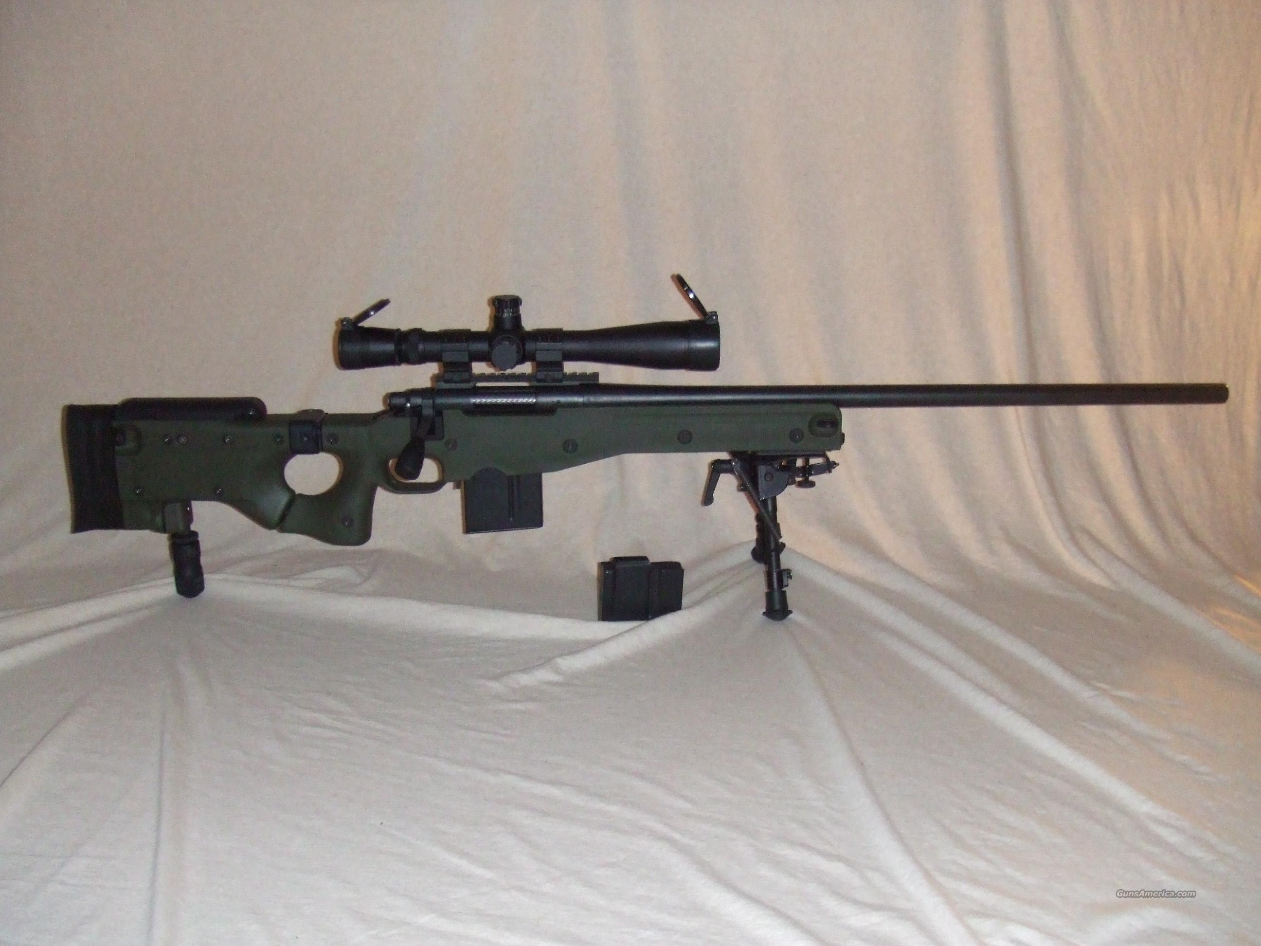 Remington 700 Aics