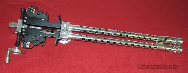 Ruger 10-22 Gatling Gun (.22 LR) for sale at Gunsamerica.com: 961963804
