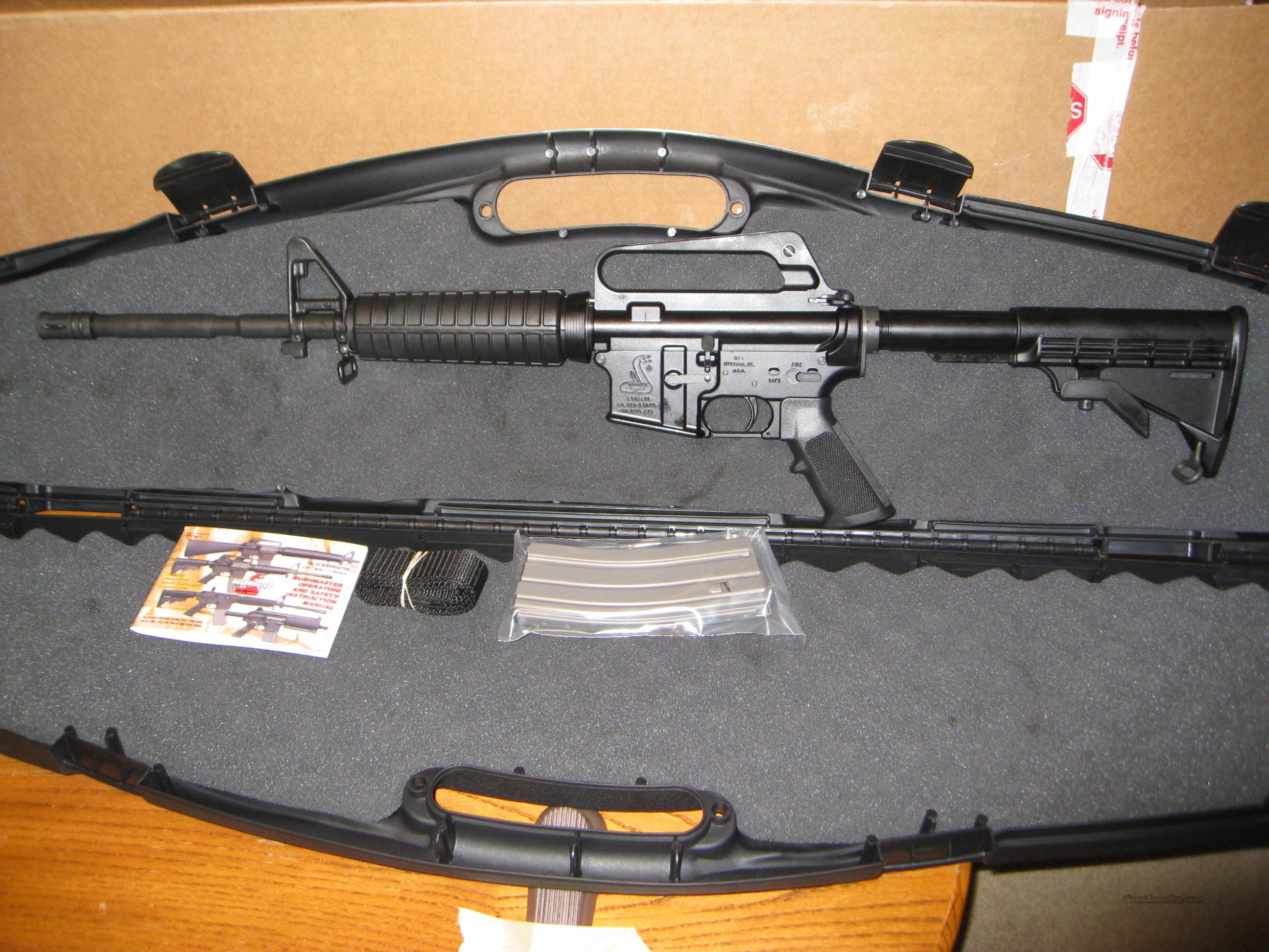 Bushmaster M4A1 Carbine 223 for sale at Gunsamerica.com: 937644077
