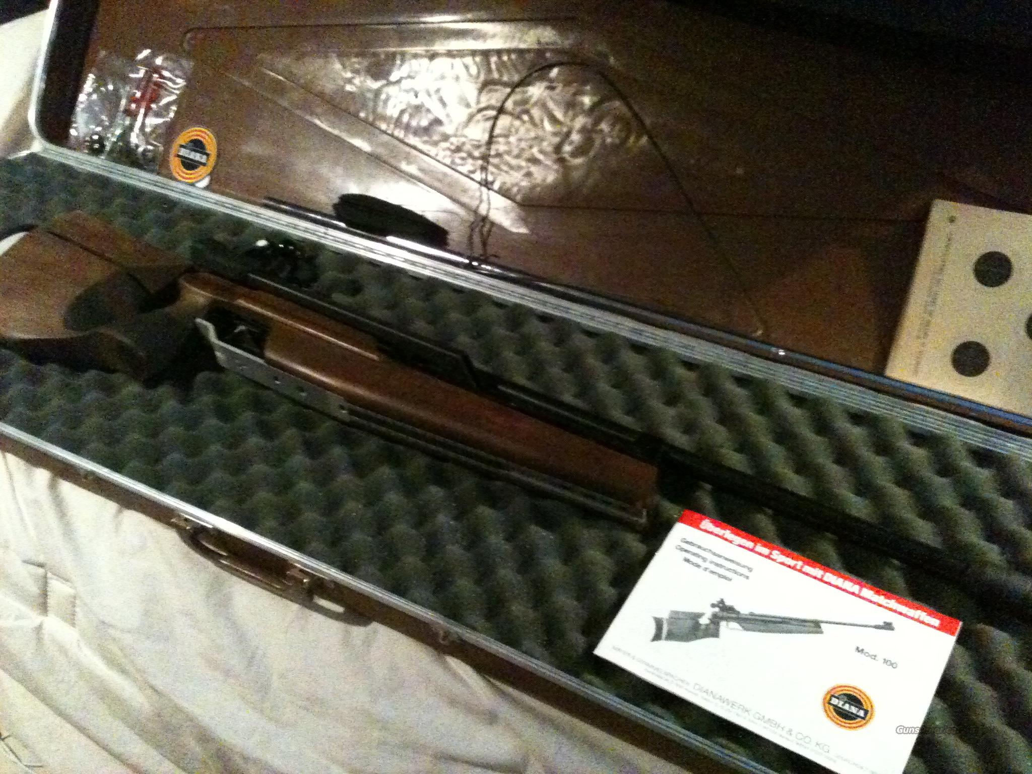 Rws Diana P5 Magnum Manual - mayagoodsite