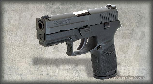 Sig Sauer P250 Full Size .45 ACP for sale at Gunsamerica.com: 985896483