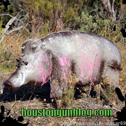 Eurasian Boar Texas Hog Bleeding Zo... for sale at Gunsamerica.com ...