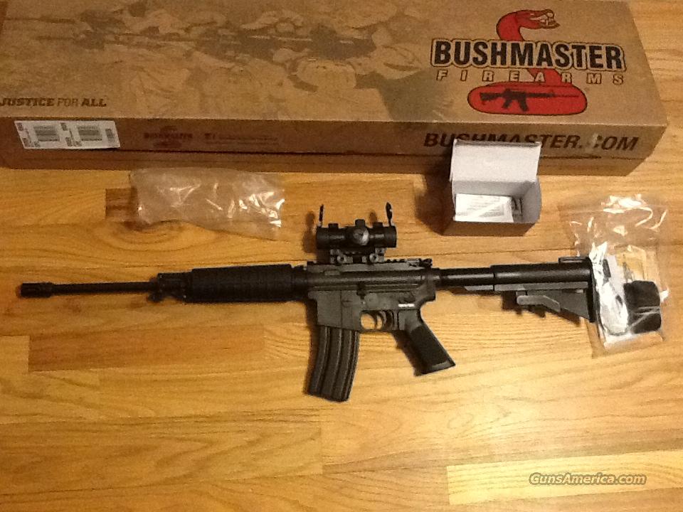 Bushmaster C15 Red Dot