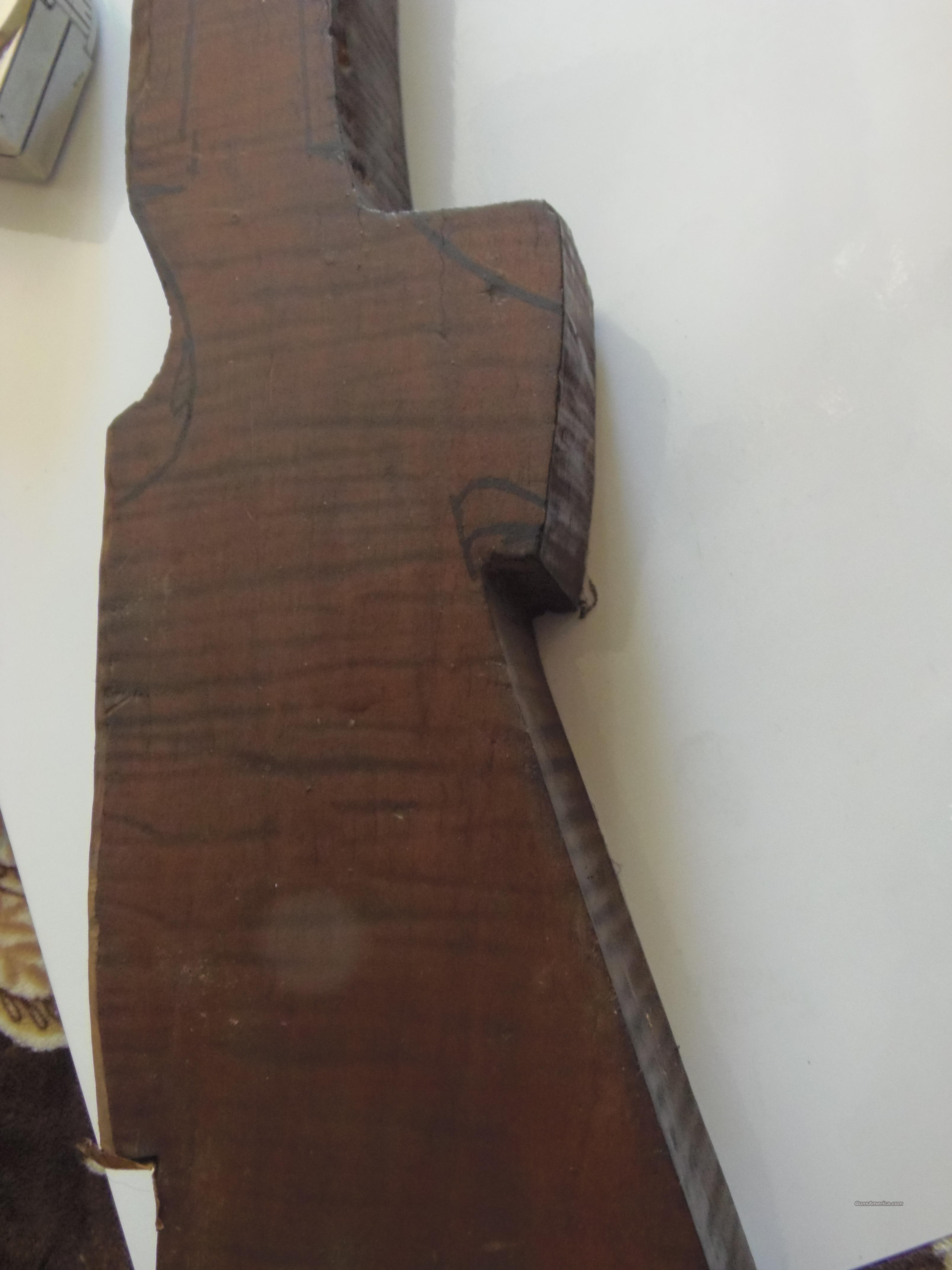 Tiger Stripe Maple