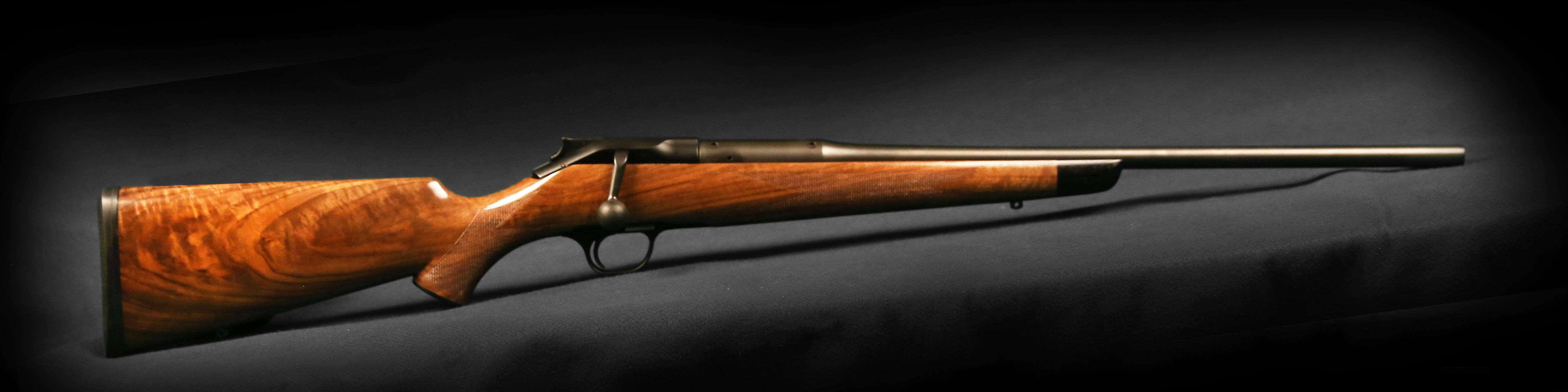 Blaser R8 Classic Sporter Wood Grad... for sale at Gunsamerica.com ...