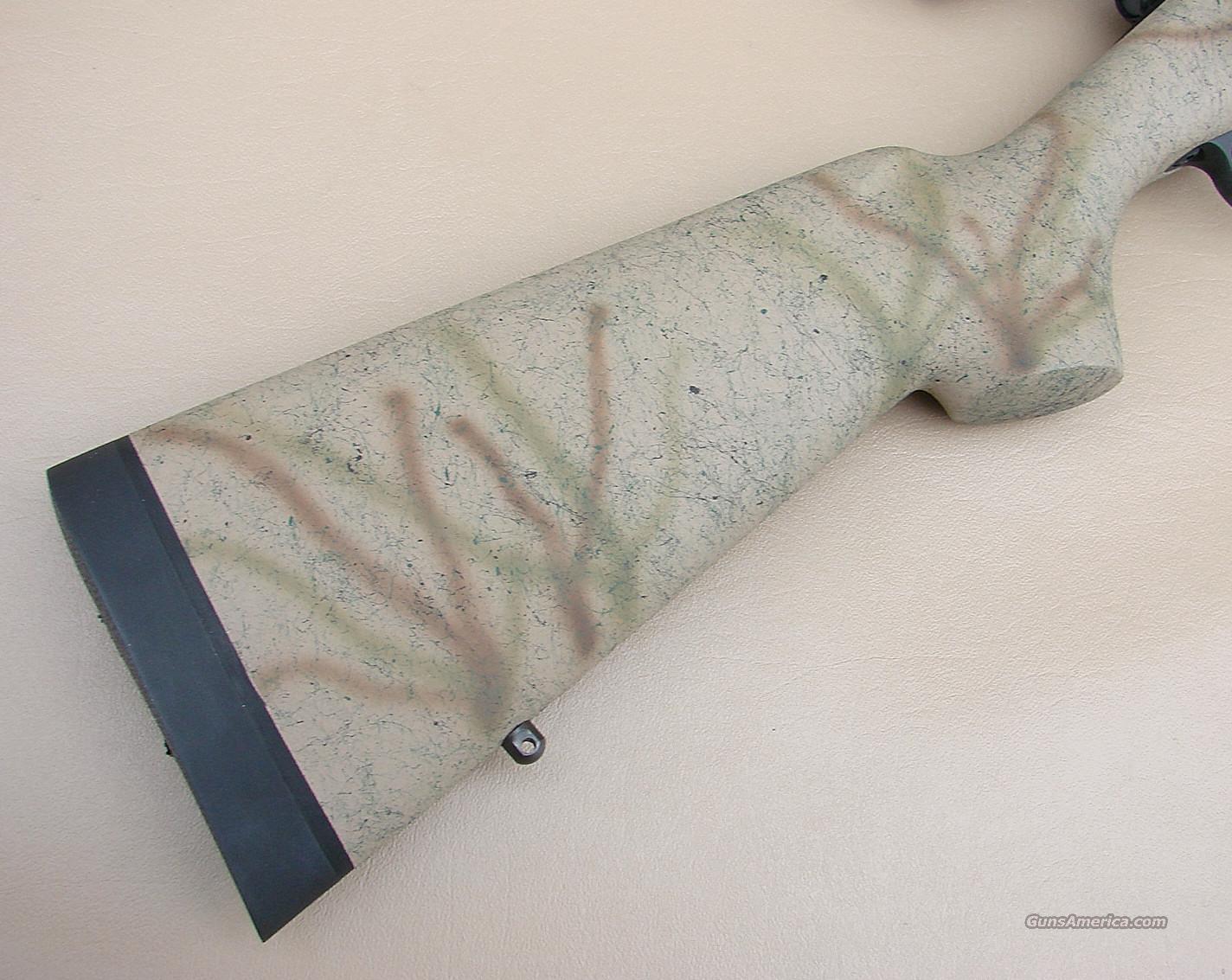 HS Precision Pro Hunter Rifle in 22... for sale at Gunsamerica.com ...