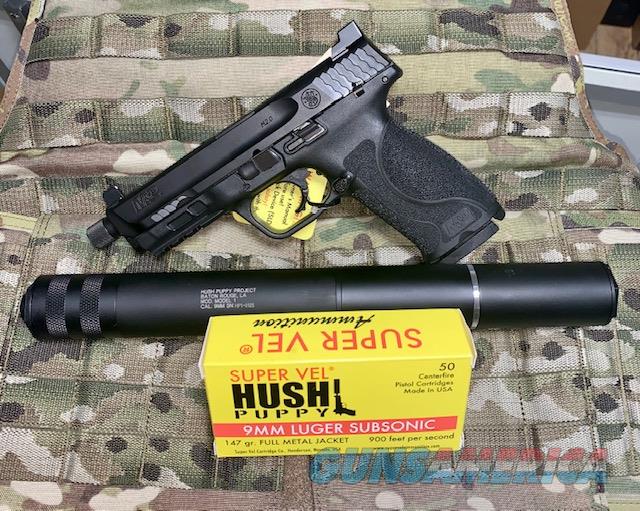 HUSH PUPPY PACKAGE Smith and Wesson... for sale at Gunsamerica.com ...