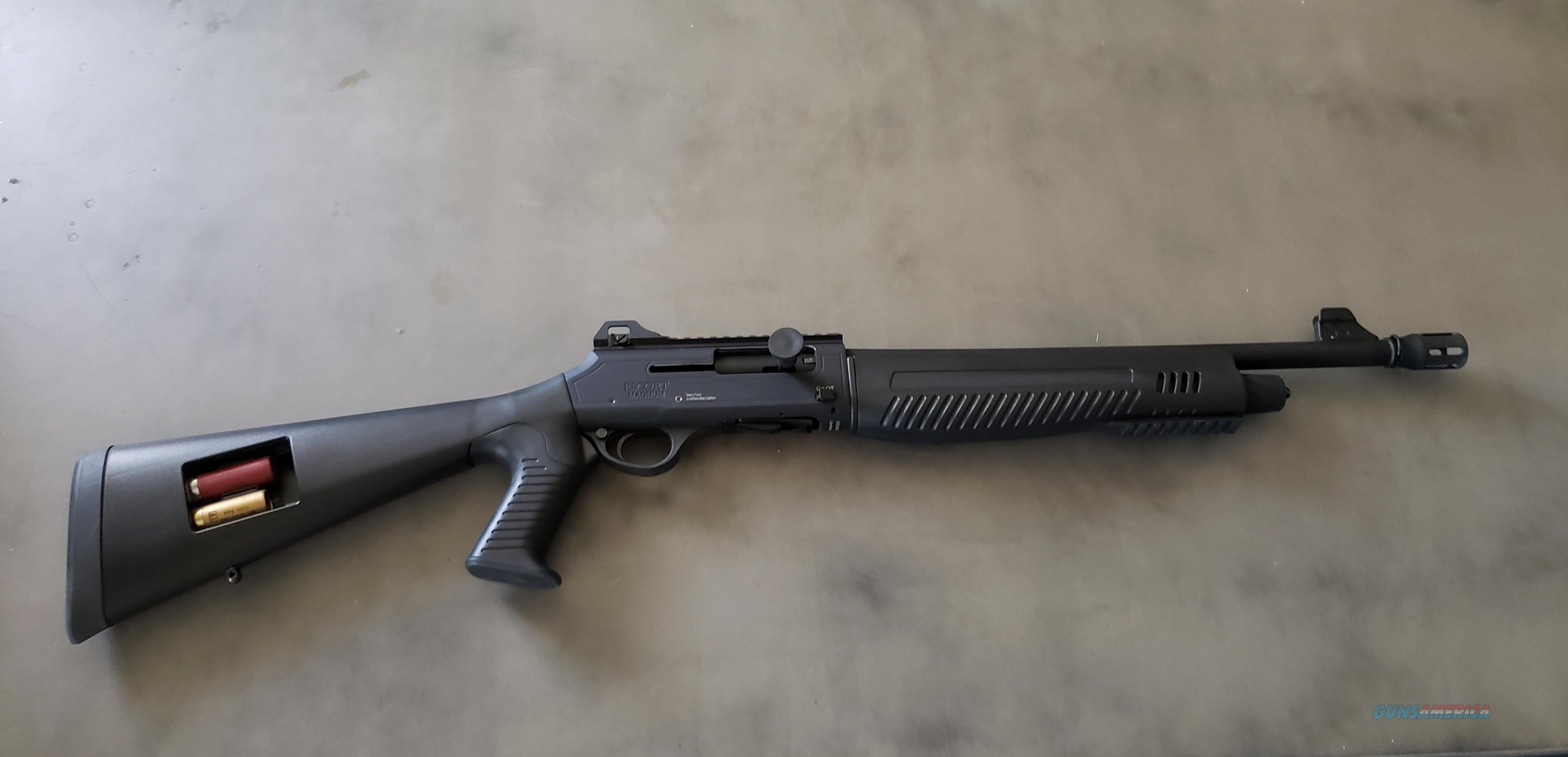 Escort Magnum Semi-Auto 12ga for sale at Gunsamerica.com: 960396241