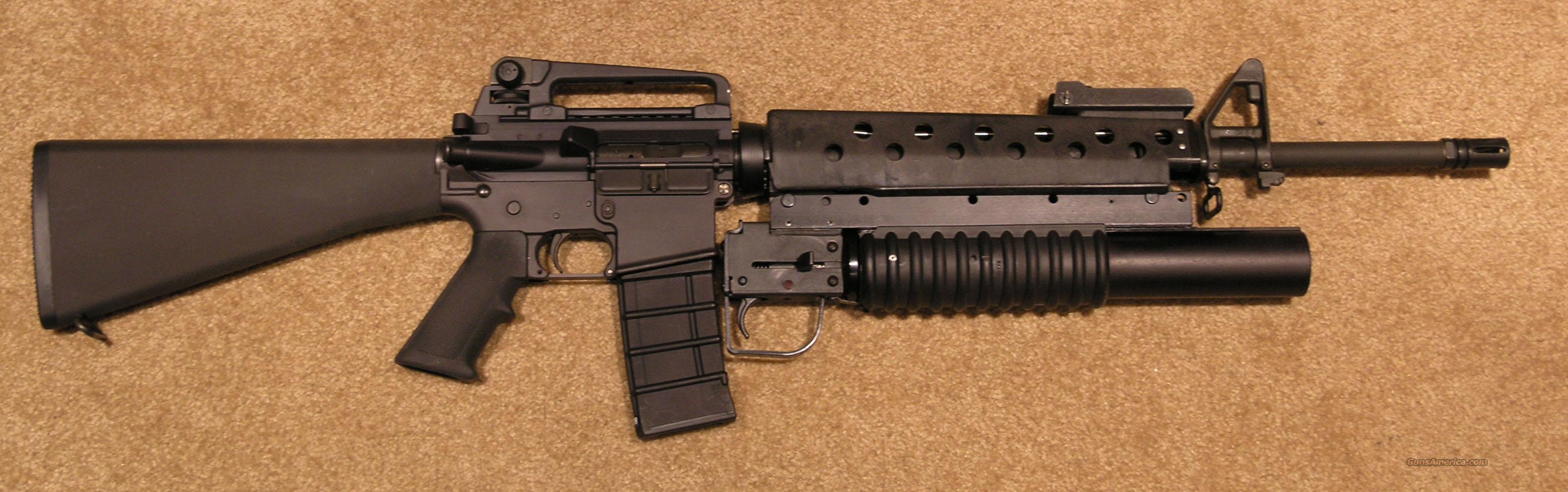 Colt AR-15 with Grenade Launcher for sale at Gunsamerica.com: 943264446