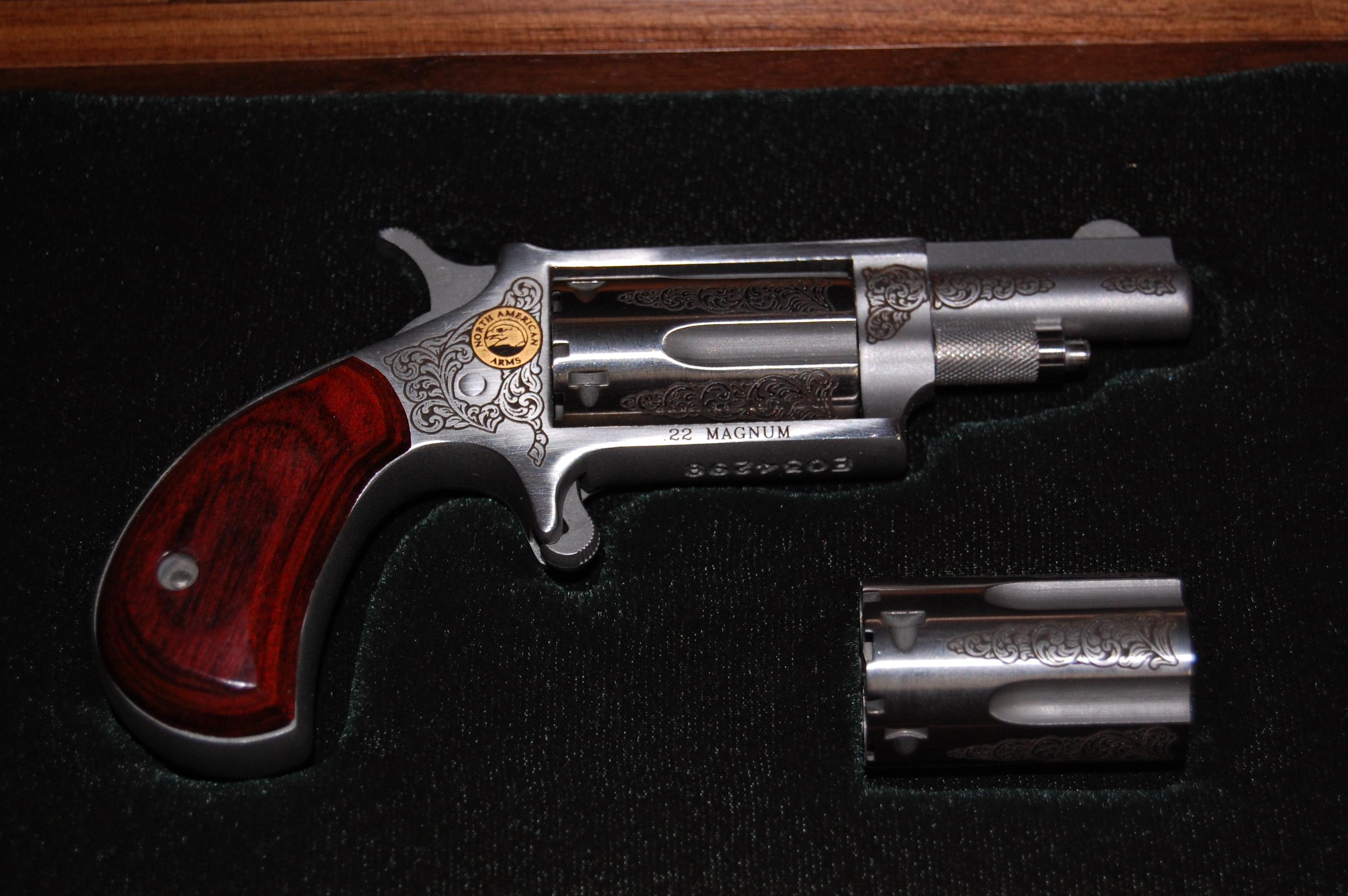 Rare engraved, cased NAA 22mag./22l... for sale at Gunsamerica.com ...