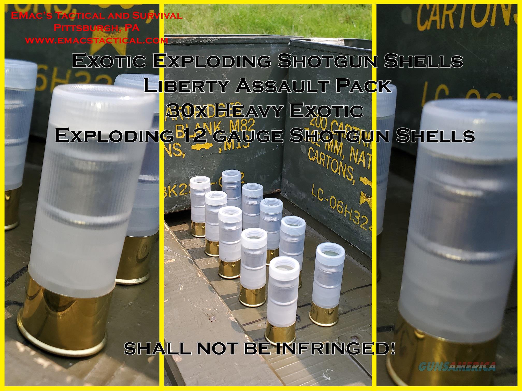 Exploding Liberty Assault Pack 30x ... for sale at Gunsamerica.com ...