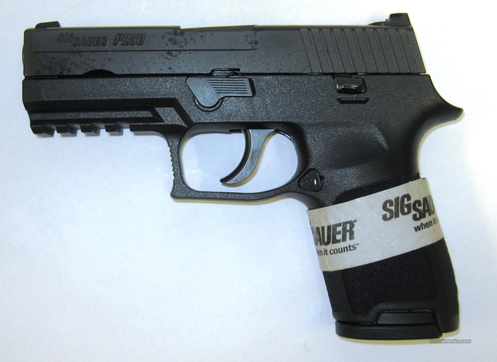 Sig Sauer P250 .45ACP for sale at Gunsamerica.com: 909189453