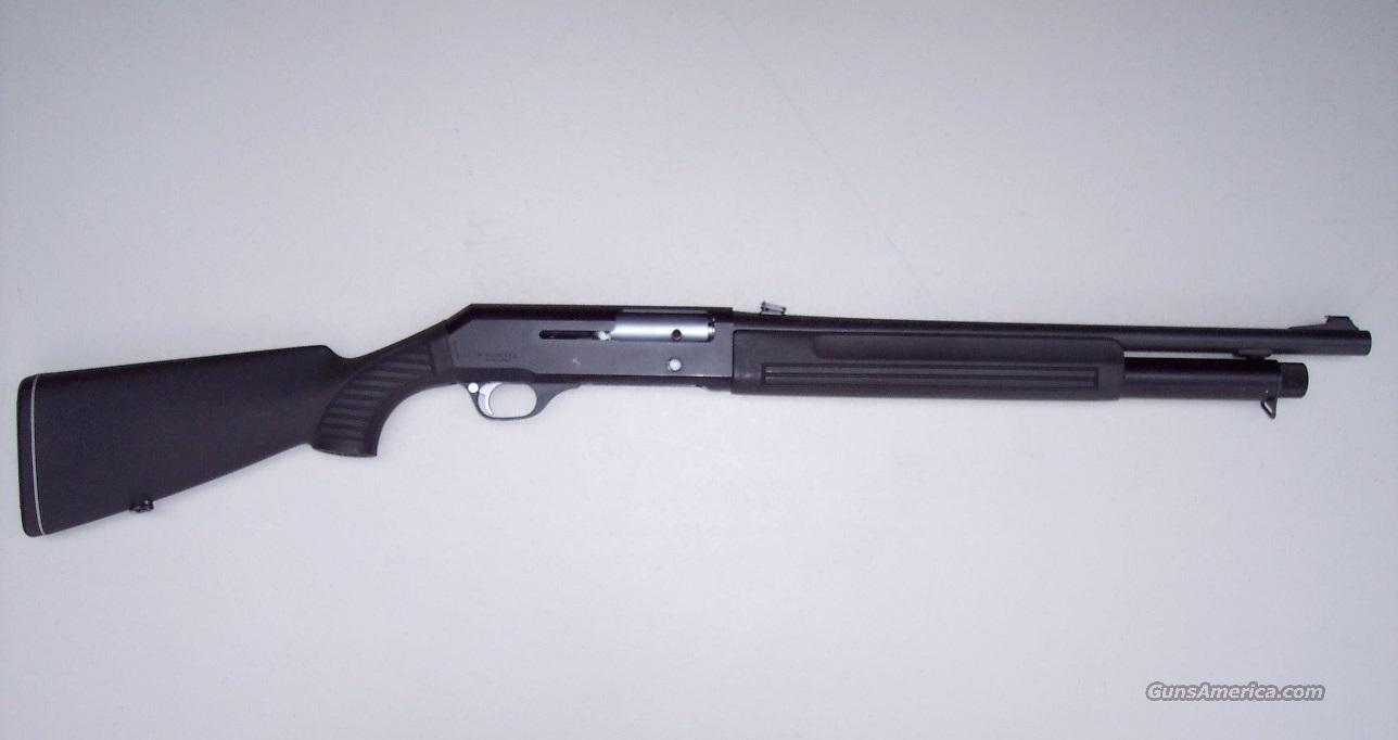 Beretta 1201FP Police Tactical 12 g... for sale at Gunsamerica.com ...