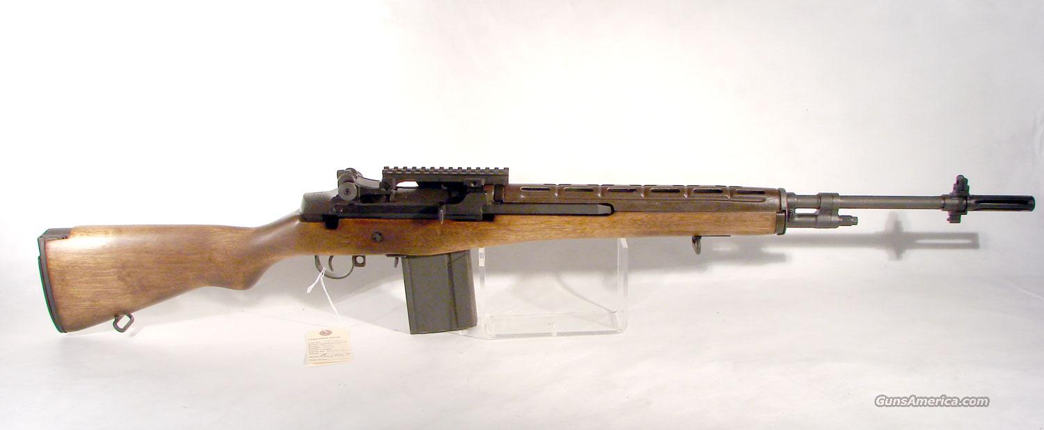Springfield M1a1 308
