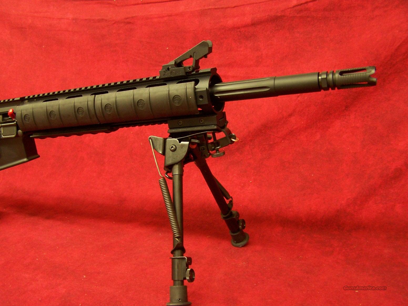 DPMS Panther Mini SASS Rifle 5.56 N... for sale at Gunsamerica.com ...