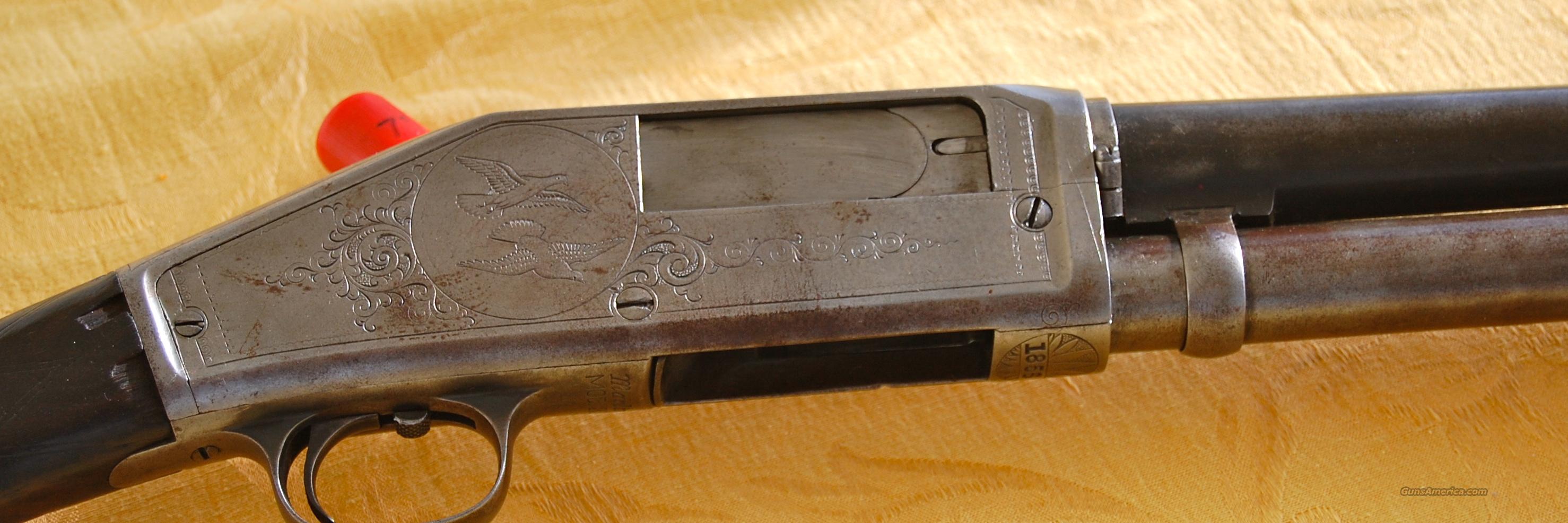 MARLIN MODEL 31 FACTORY ENGRAVED for sale at Gunsamerica.com: 917498166