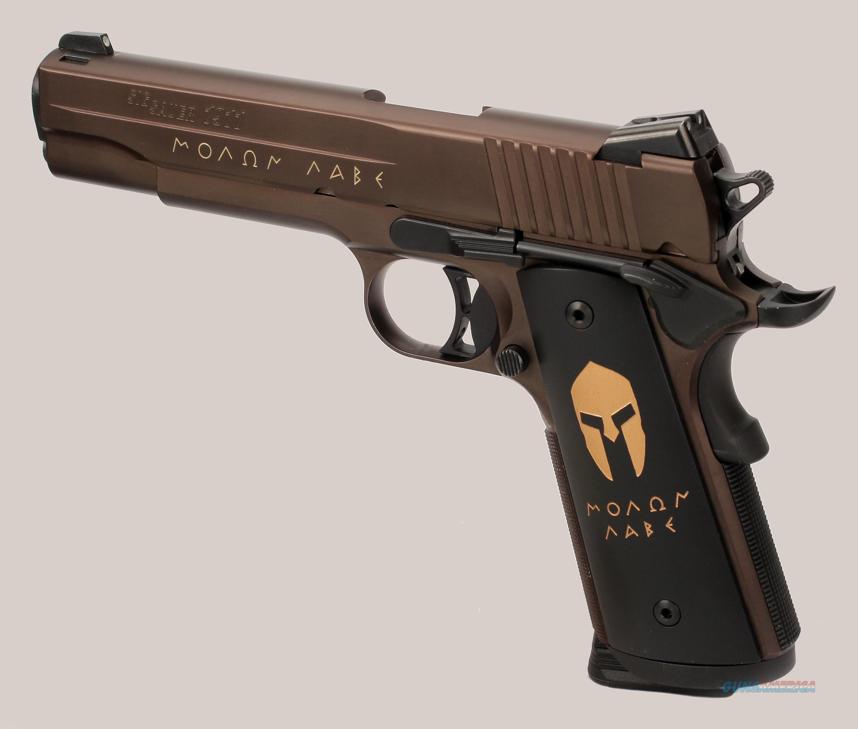 Sig Sauer 1911-45-Spartan Pistol for sale at Gunsamerica.com: 958747204