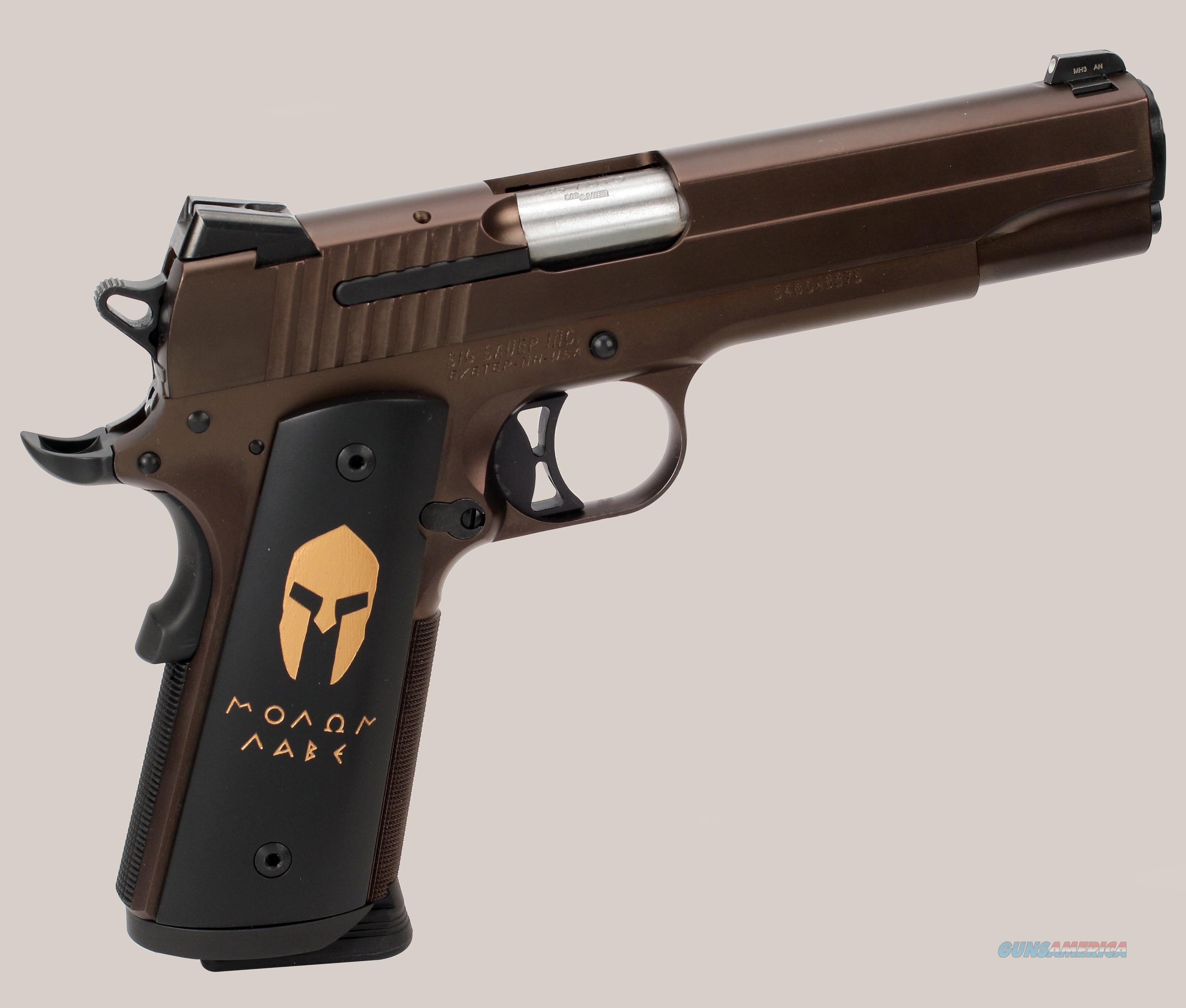 Sig Sauer 1911-45-Spartan Pistol for sale at Gunsamerica.com: 958747204