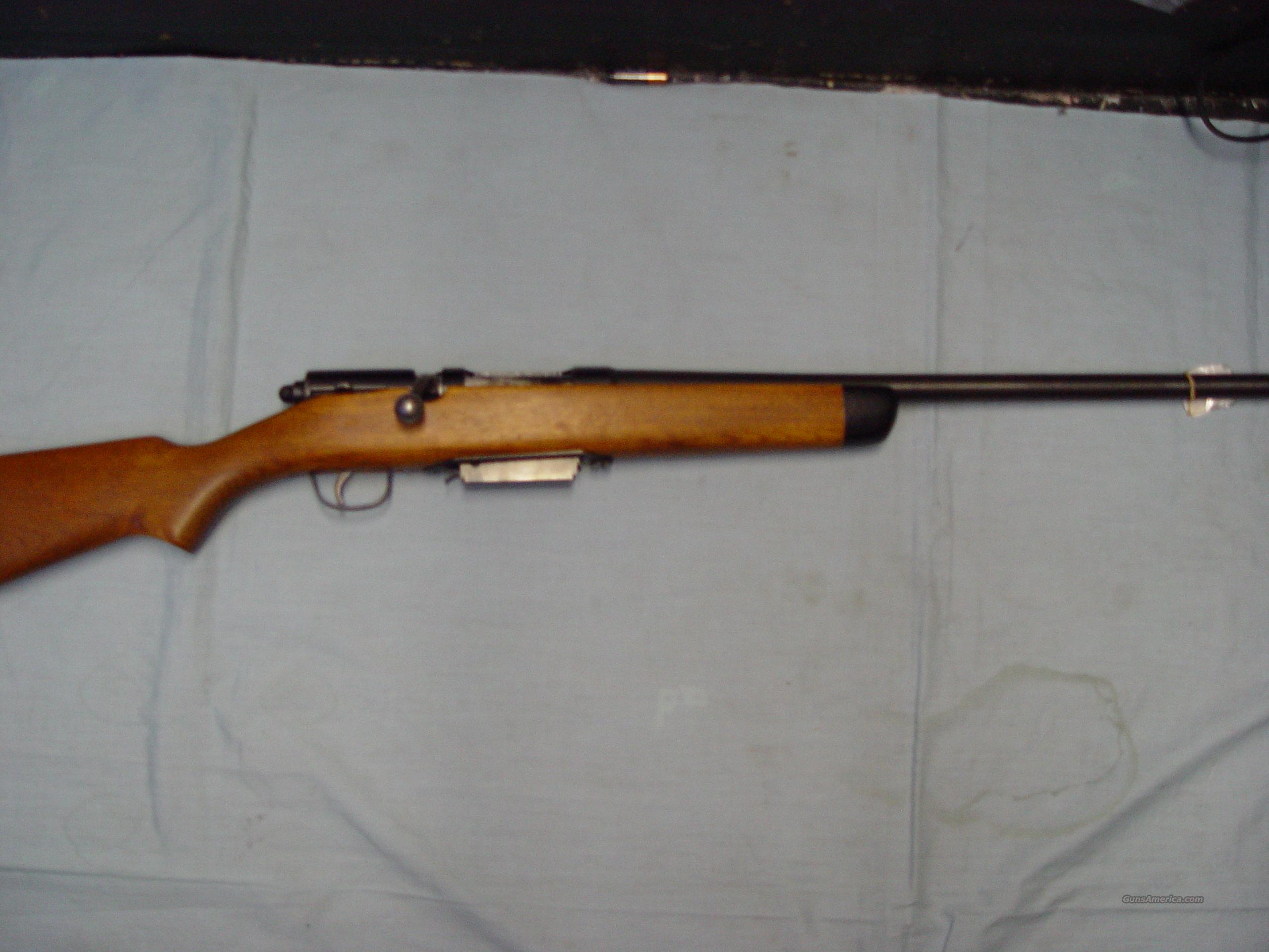 20 Gauge Shotgun Bolt Action