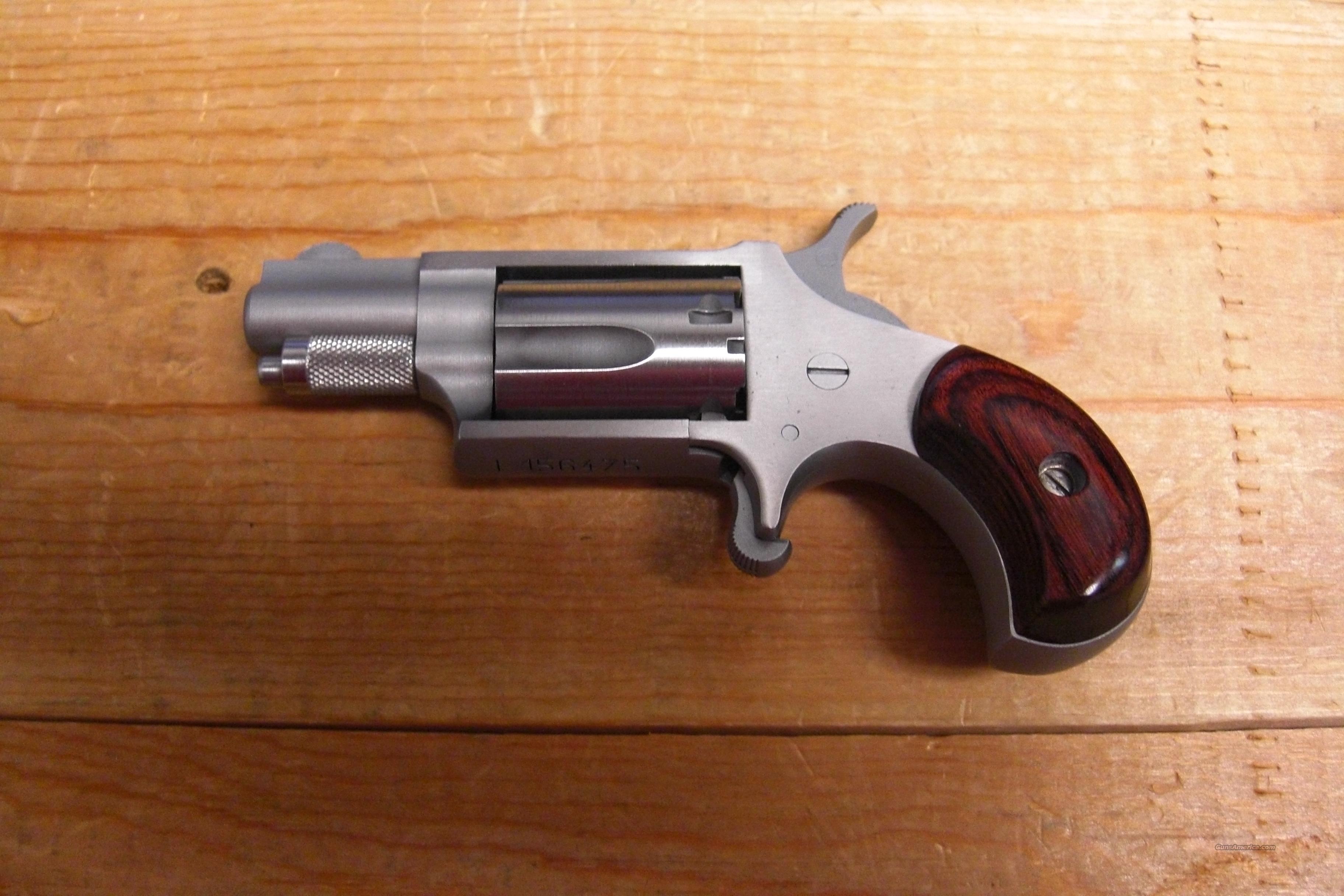 NAA-22lr for sale at Gunsamerica.com: 975091594