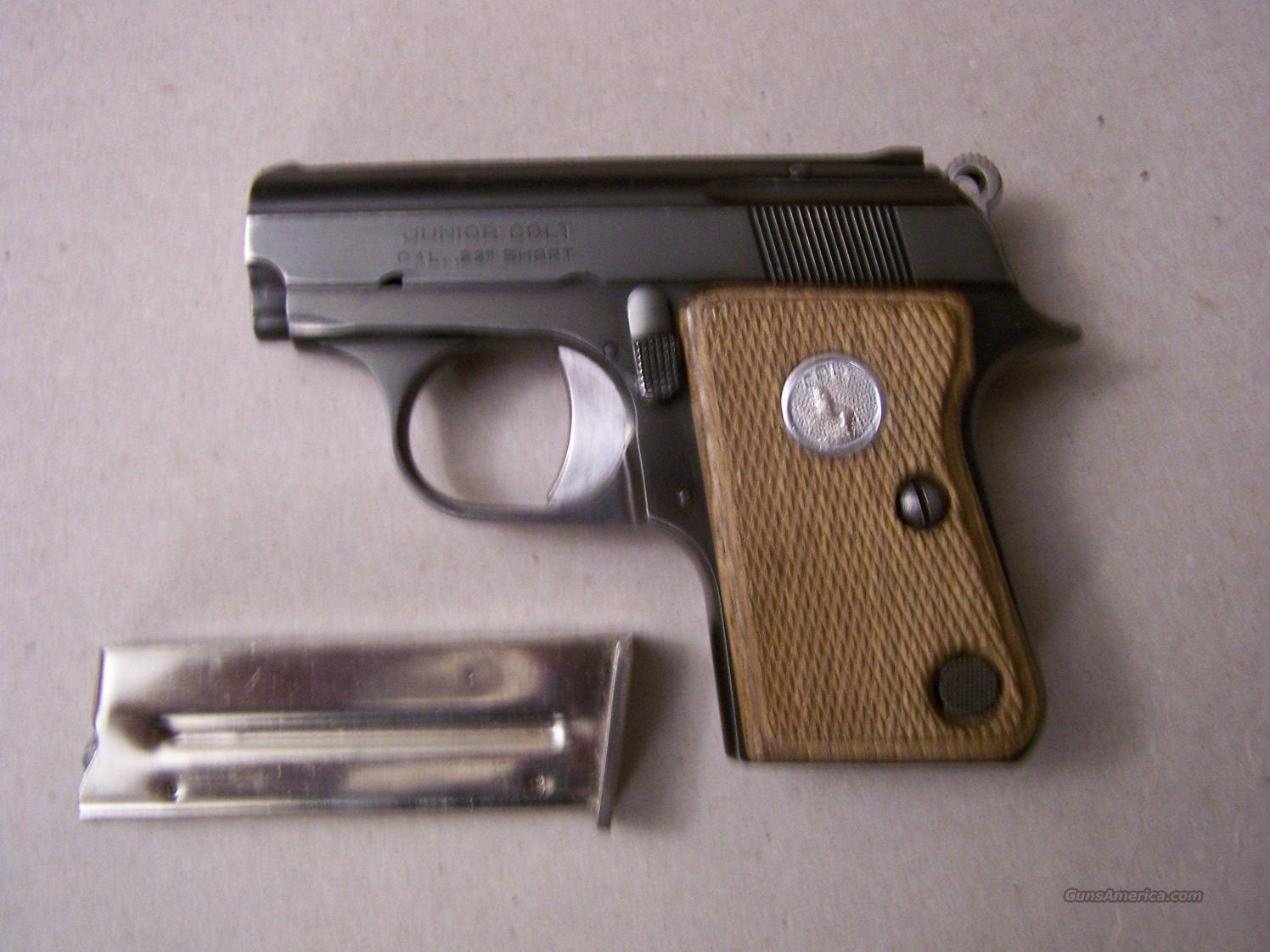Colt Junior .22 Short for sale at Gunsamerica.com: 911778794