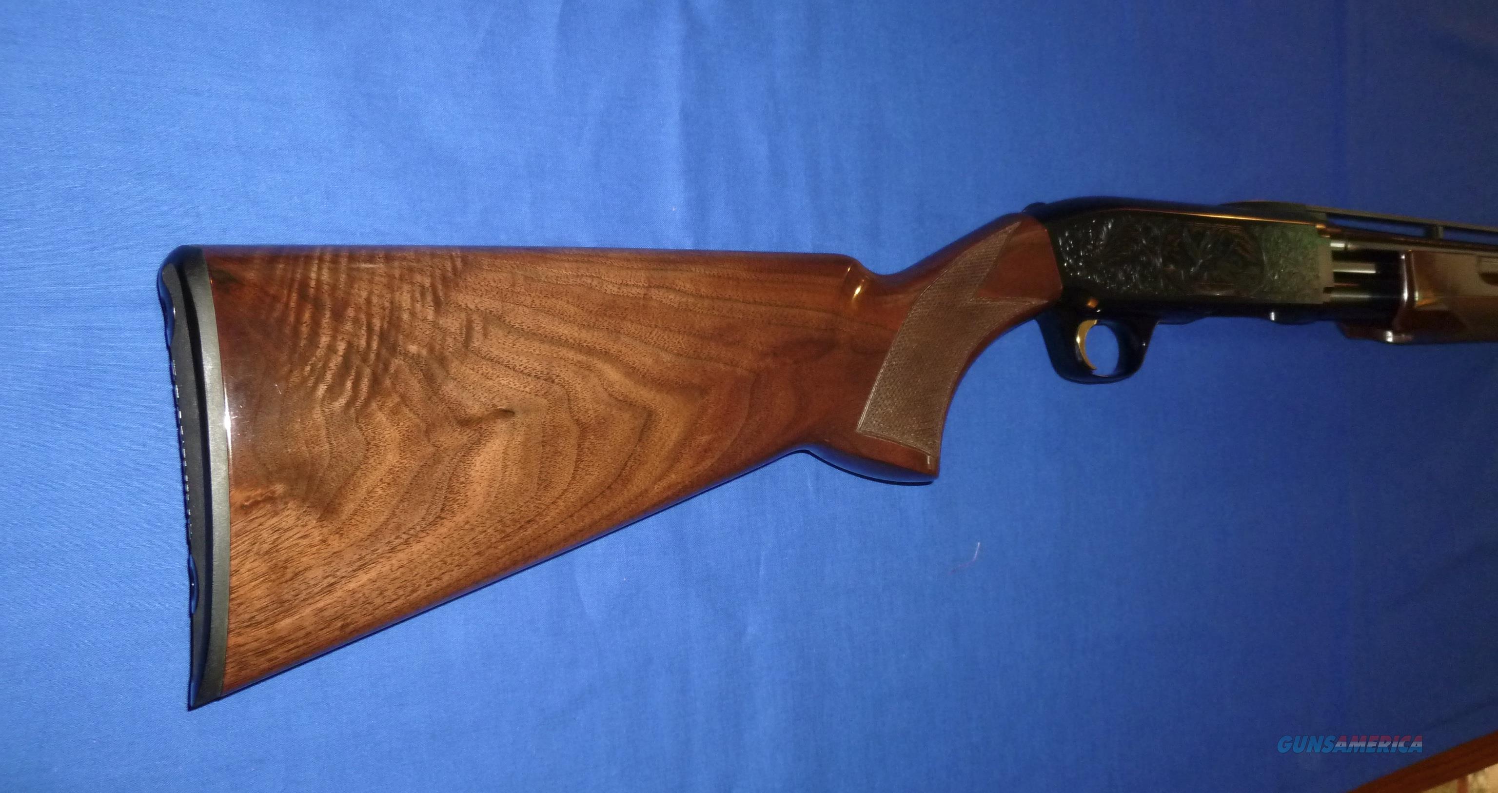 Youth 410 Semi Auto Shotgun