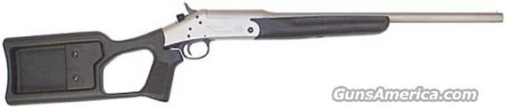 H&R .410 ga Snake Tamer .410 Nickel... for sale at Gunsamerica.com ...