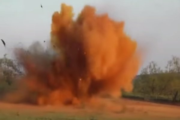 What happens when you hog hunt with tannerite?
