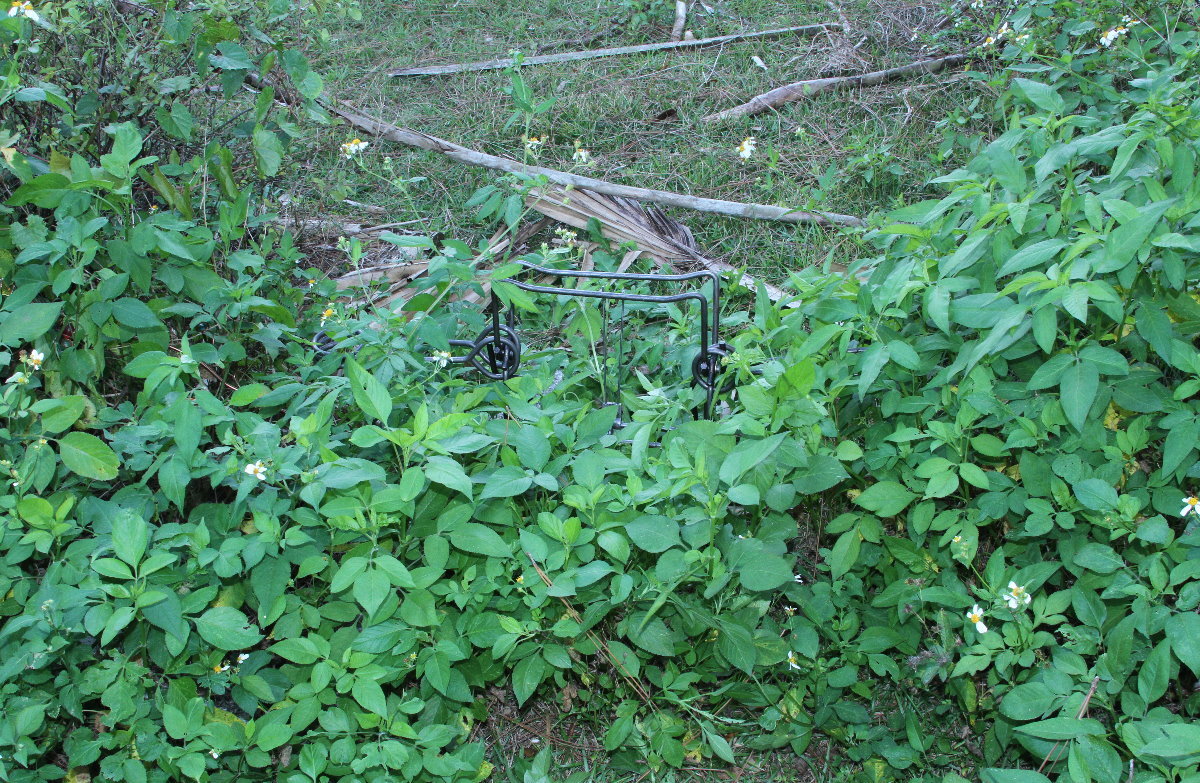 Prepping 101: Killer Traps