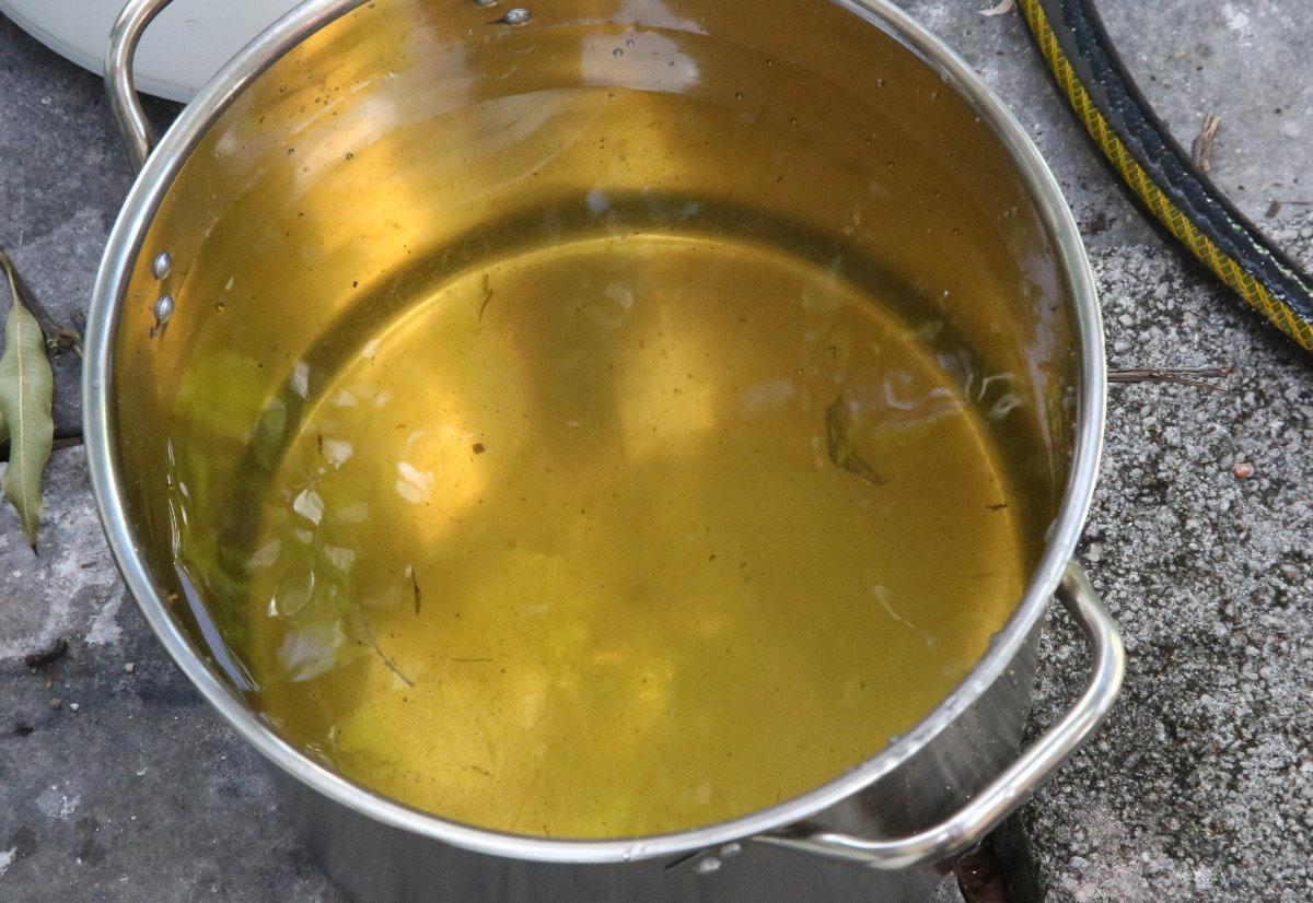 Prepping 101: Water Distillation Still -Is it Worth the Trouble?