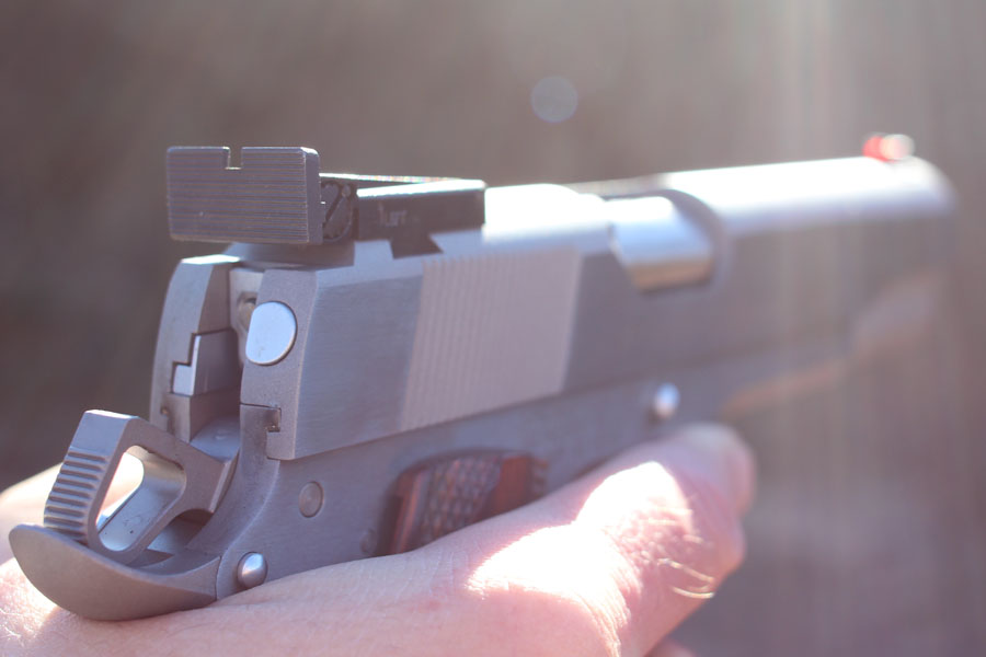 Two New 9mm Springfield Range Officers