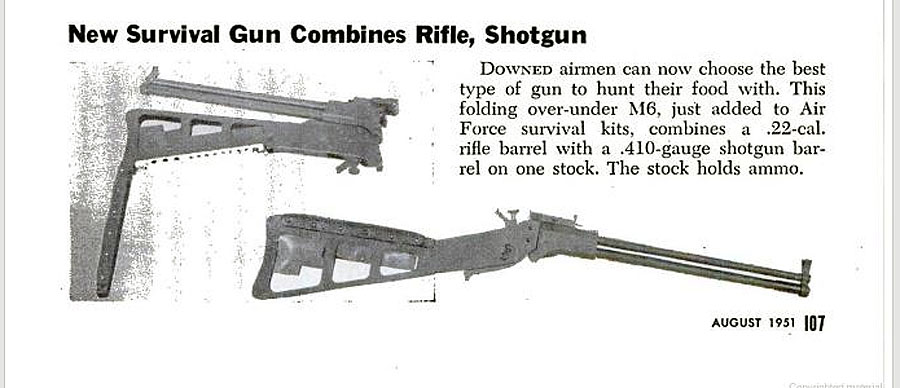 Bring Back The M6 Scout Rifle