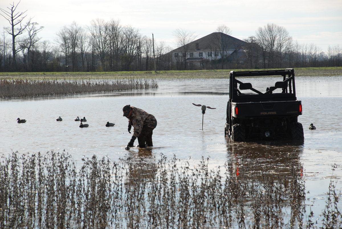 Beginner’s Guide to Duck Hunting: Top Tips for Waterfowling