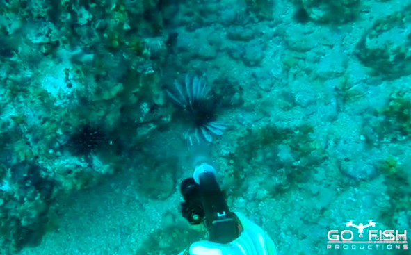 Fishing Underwater with Suppressed 9mm Glock!