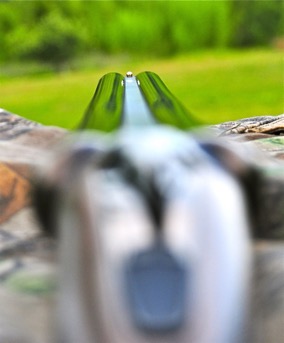 Iconic Scattergun: An Affordable FAIR Iside 20 Gauge — Full Review