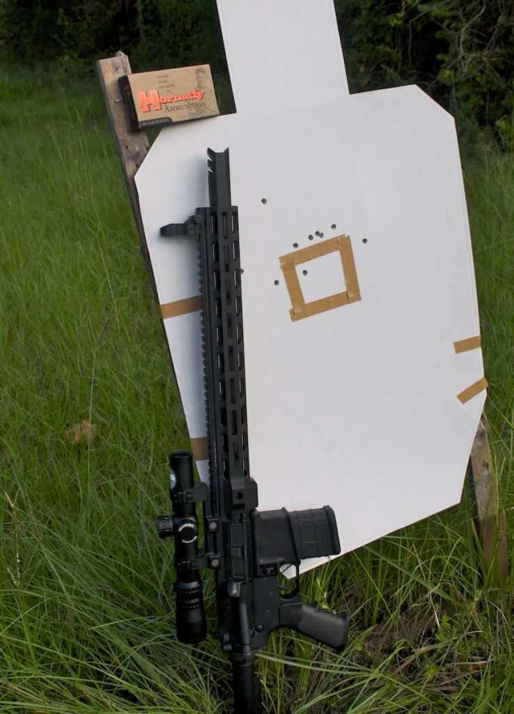 A Carbine for All Occasions — DoubleStar ARC 300