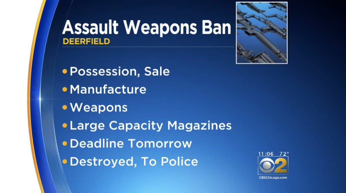 Judge Blocks Chicago Suburb from Confiscatory Gun Ban, Fining AR Owners ...