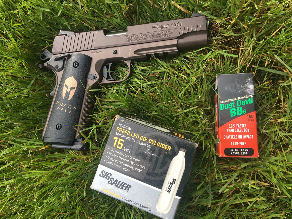 Training with Air Guns: Shoot at Home with High Quality Repetitions and ...