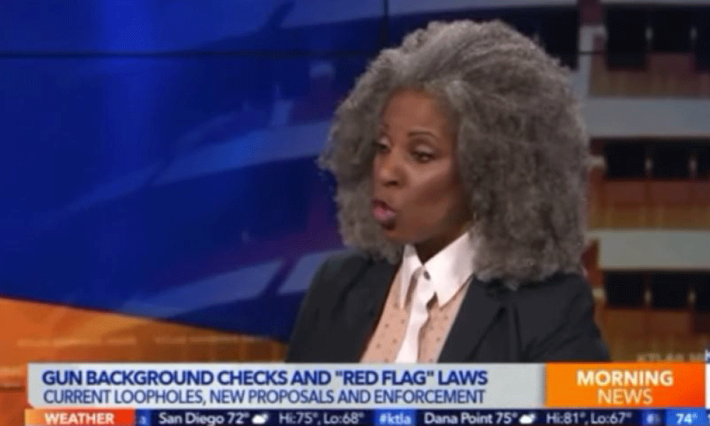 'Double-Barrel Magazine Extended Clips?' Former LAPD Sergeant Reveals ...