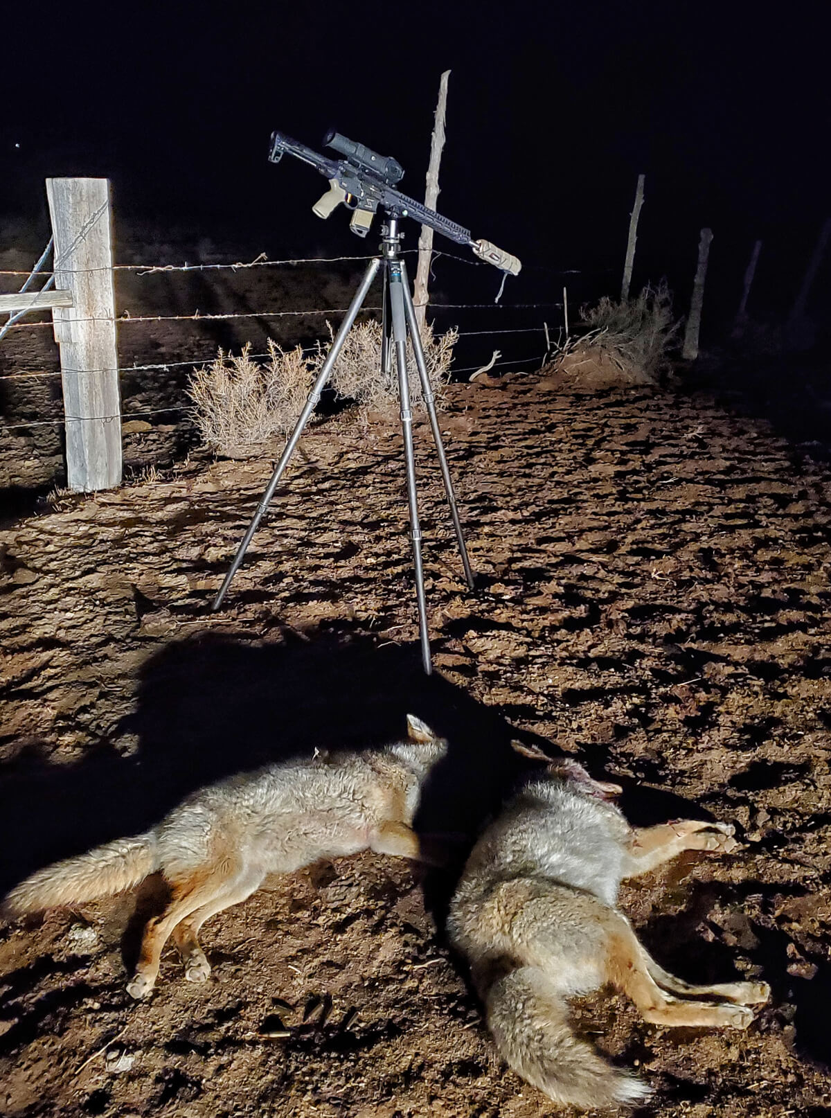 ODIN Works CQ-S Rifle Stock - Full Review