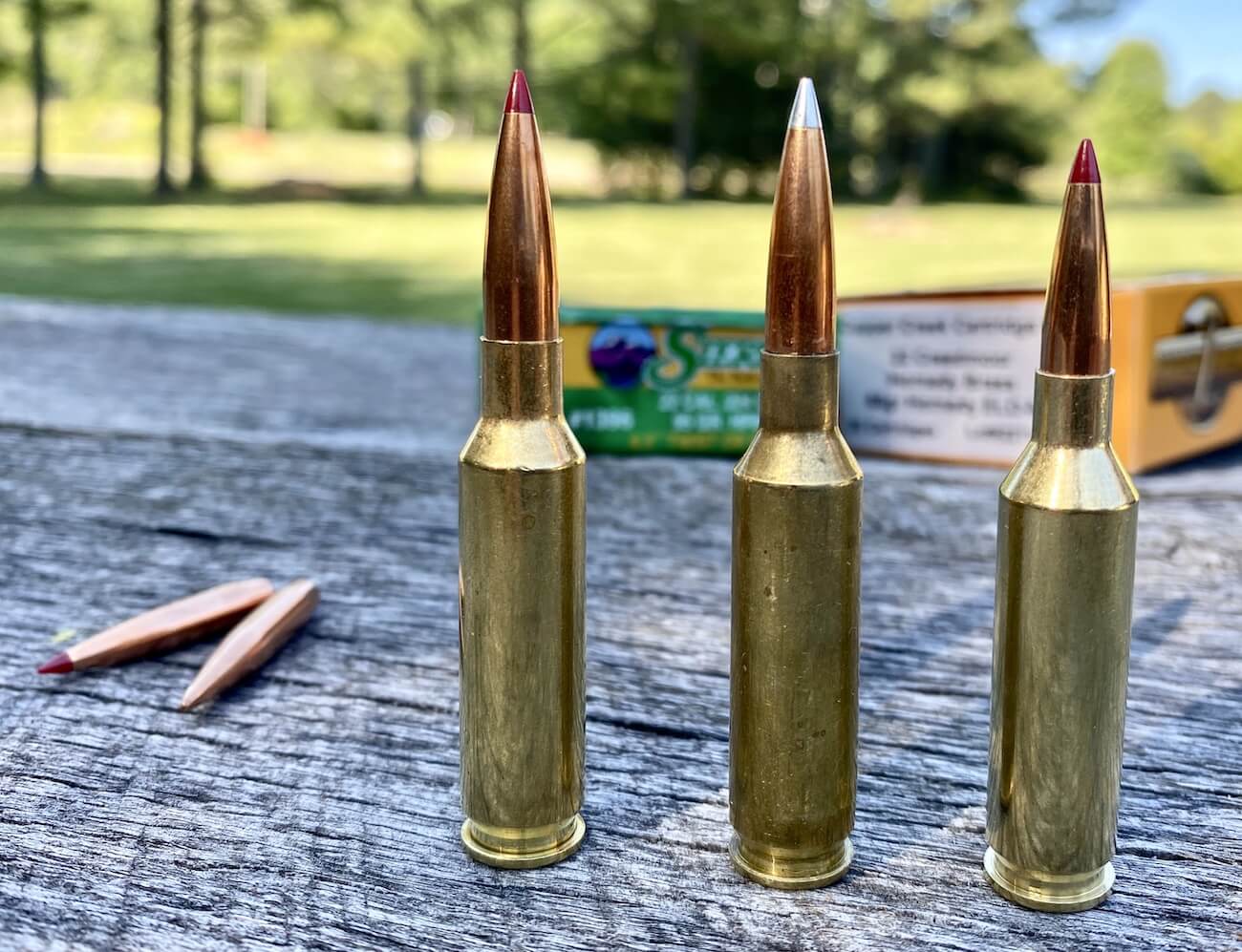 The Amazing 22 Creedmoor: A Wildcat Worth a Hard Look
