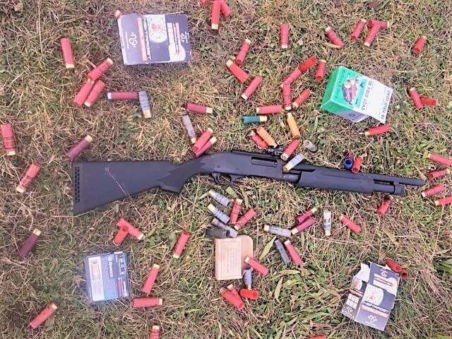 Local Gun Store COVID Availability Challenge: Hurricane Butterfly's ...