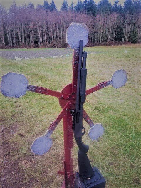 Local Gun Store COVID Availability Challenge: Hurricane Butterfly's ...